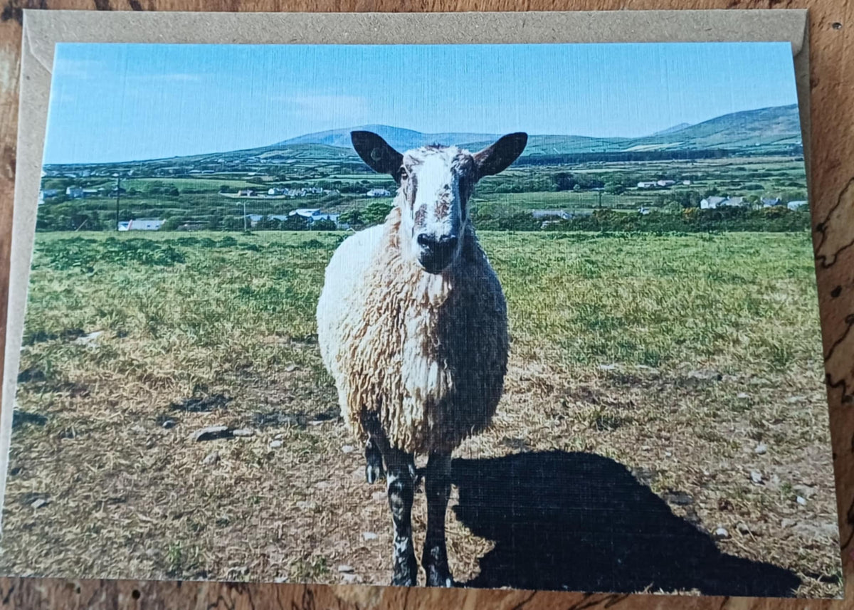 Sheep – KellyMarie Jewellery Design